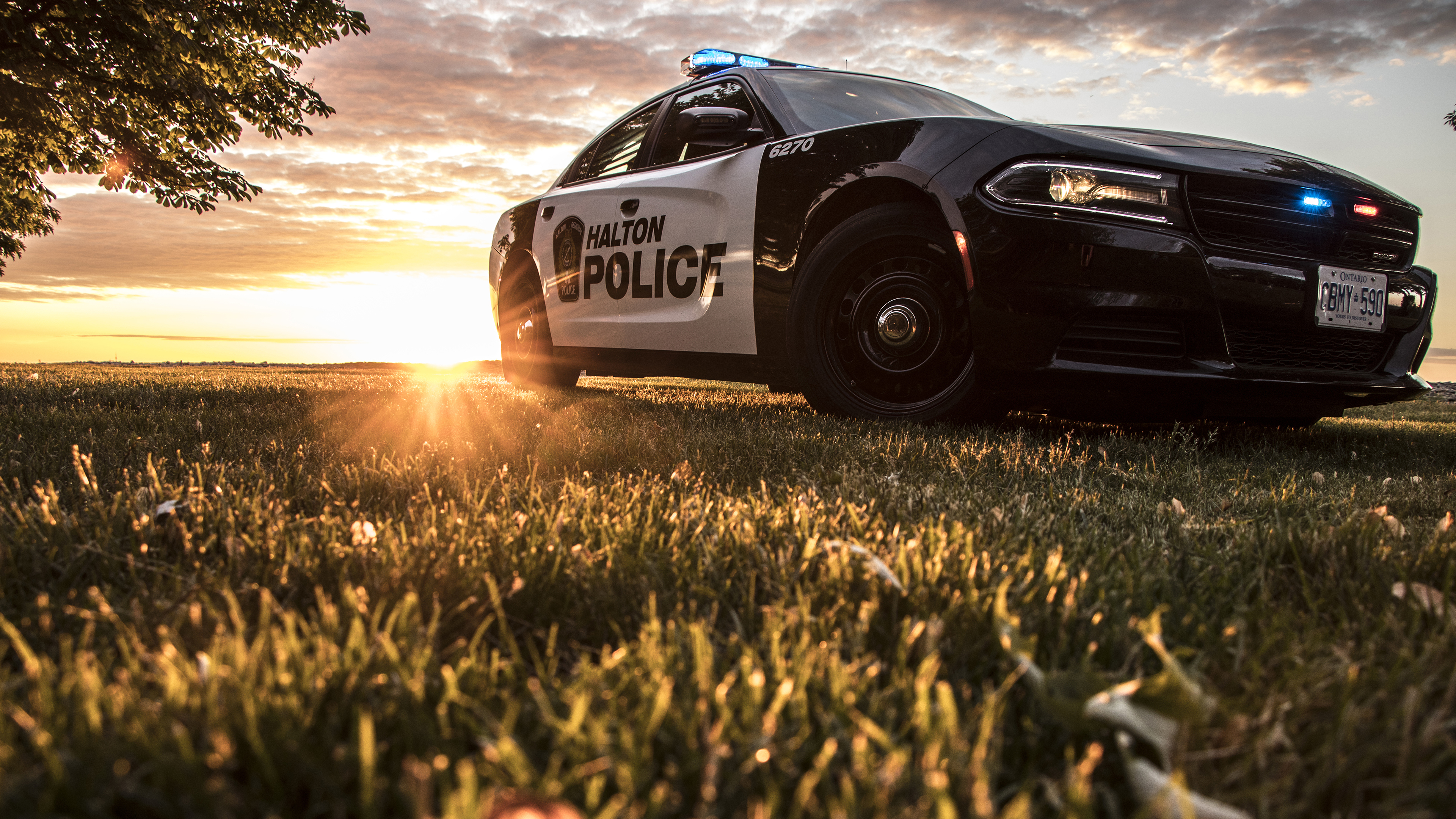 About Us | Halton Regional Police Service